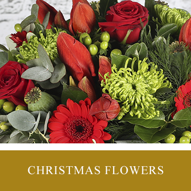 Flowers Limerick, Limerick Flowers, Flowers in Limerick - Lawless ...